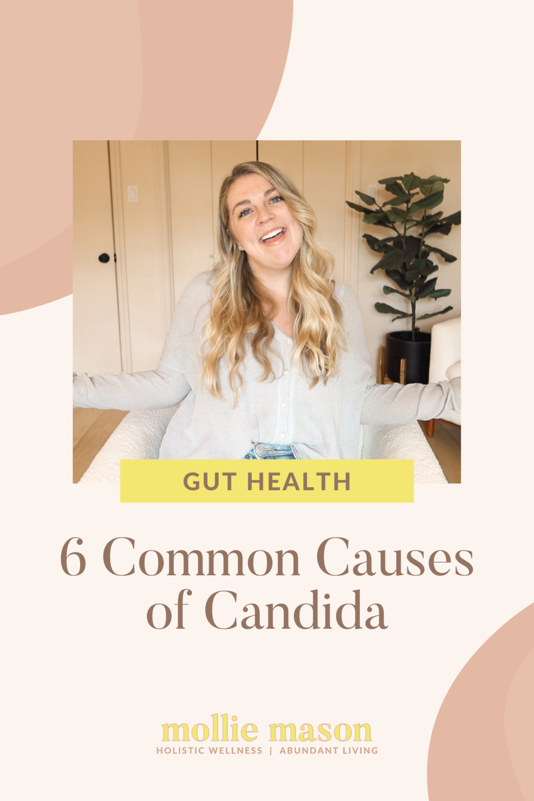 6 Common Causes of Candida Yeast Overgrowth | Mollie Mason